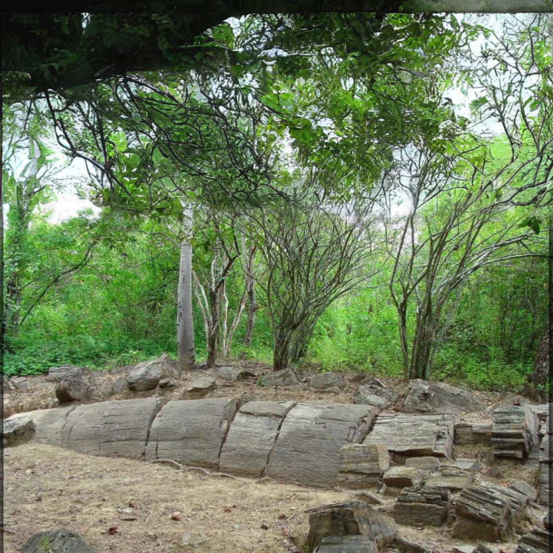 Bosque petrificado de Puyango – Loja Ecuador